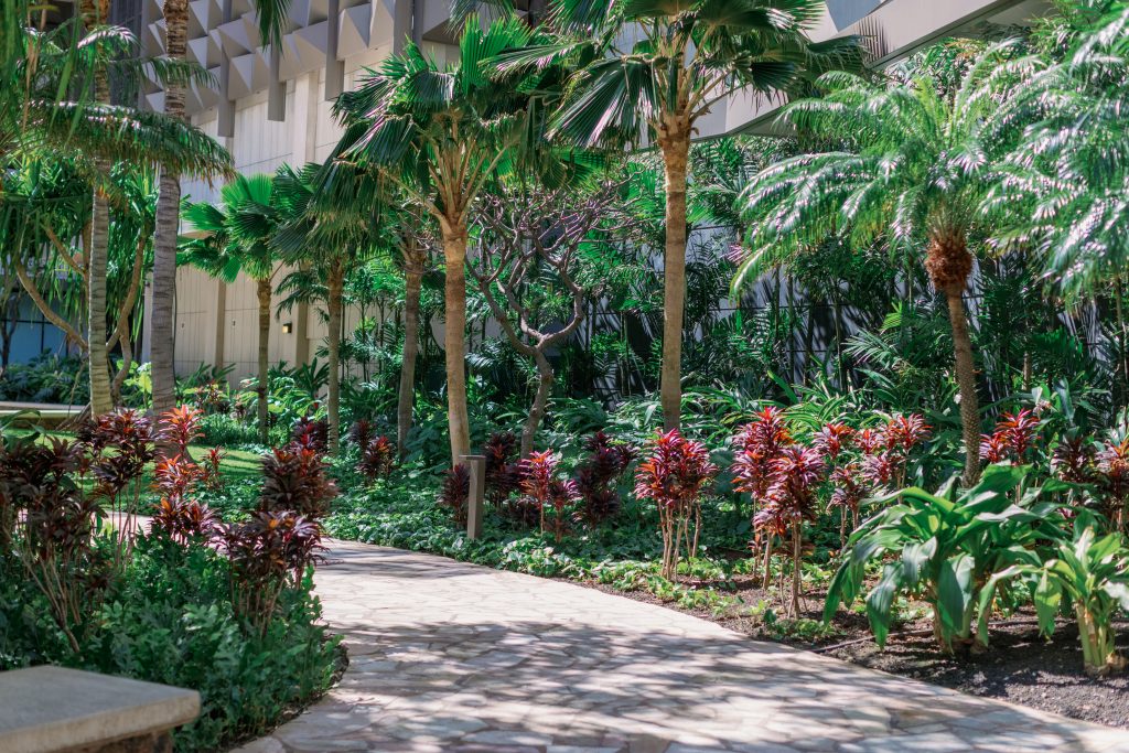 Projects - TMG Pacific